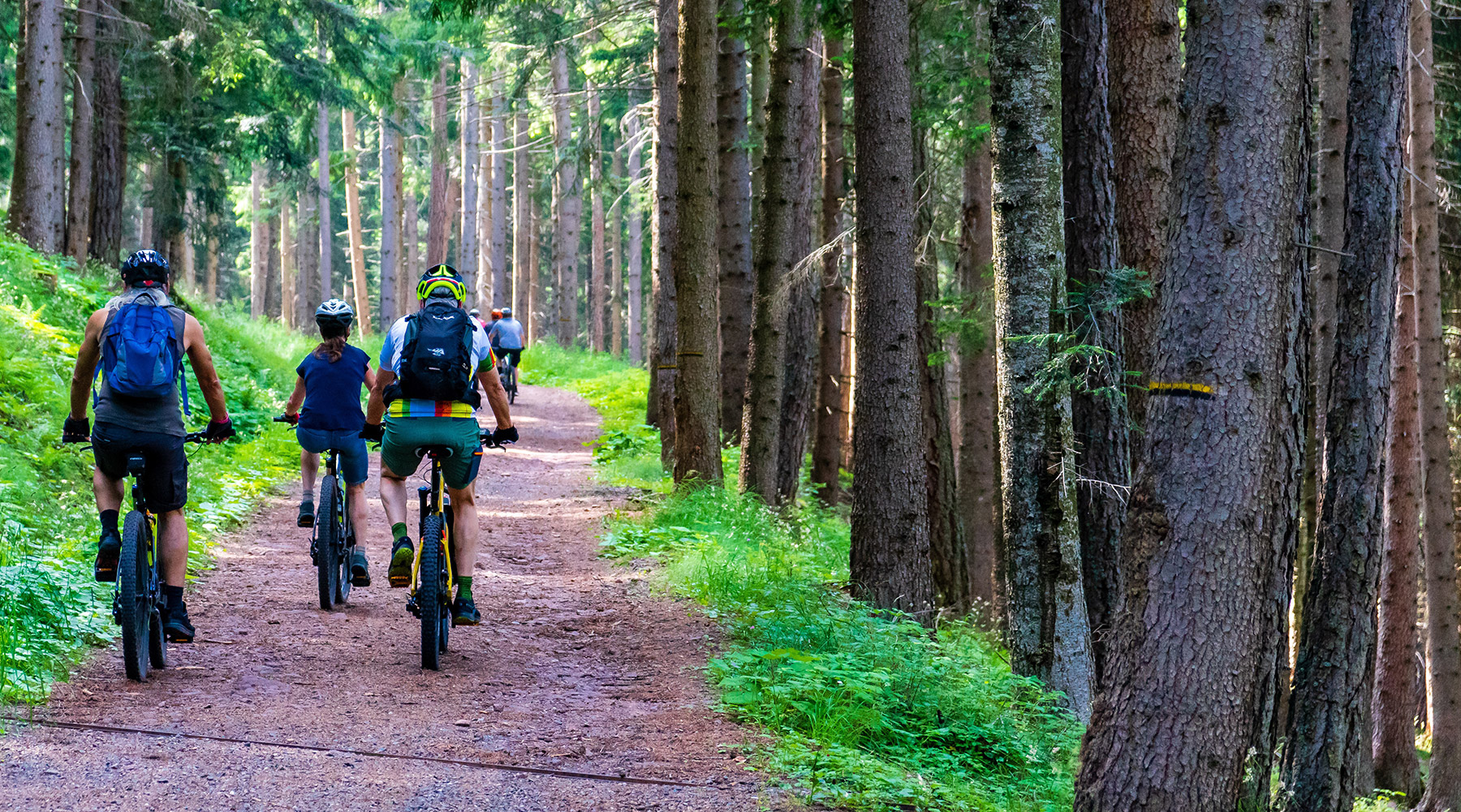 Mit dem Fahrrad rund um Frauenwald am Rennsteig